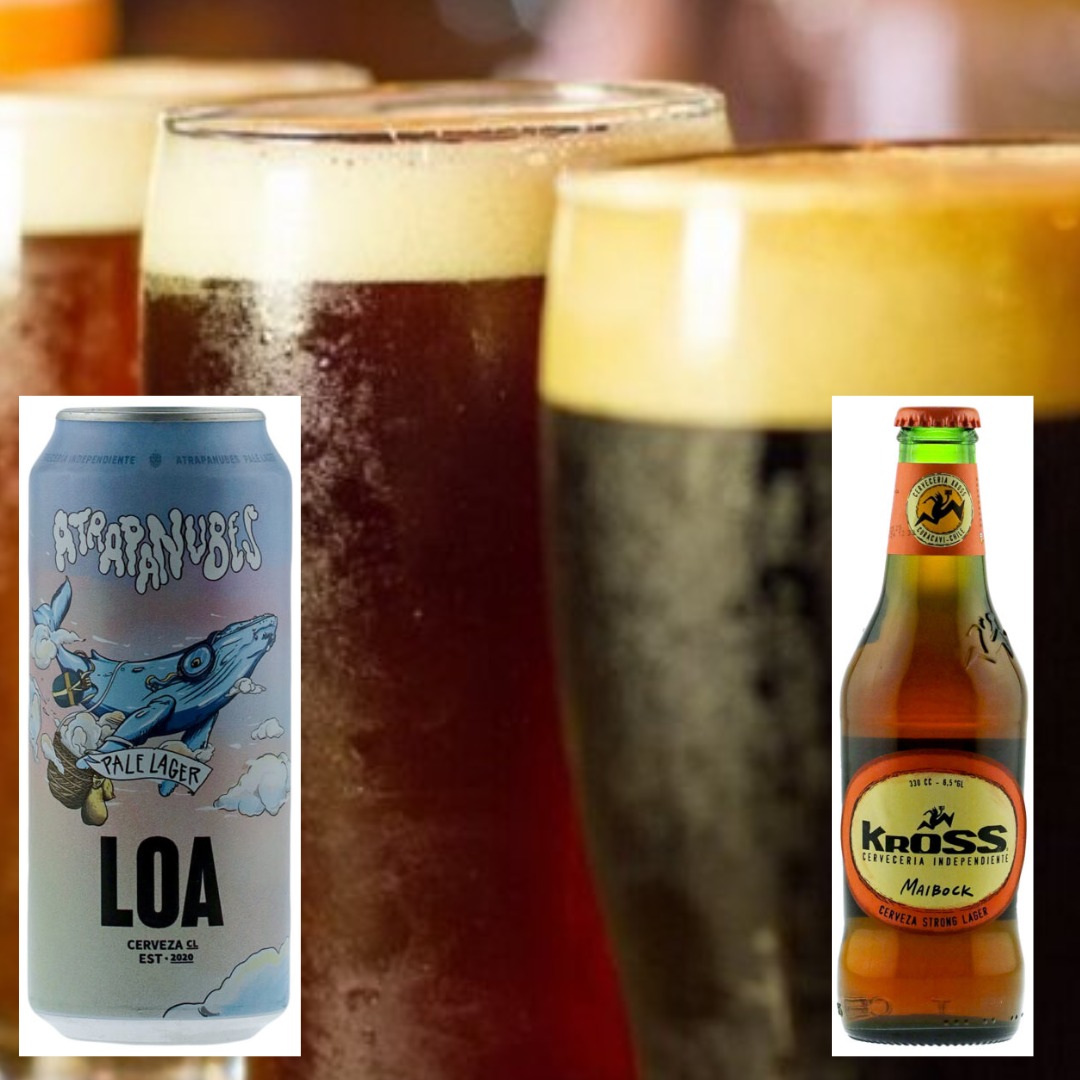 Dos cervezas chilenas, entre las mejores del mundo, tras ganar los ...